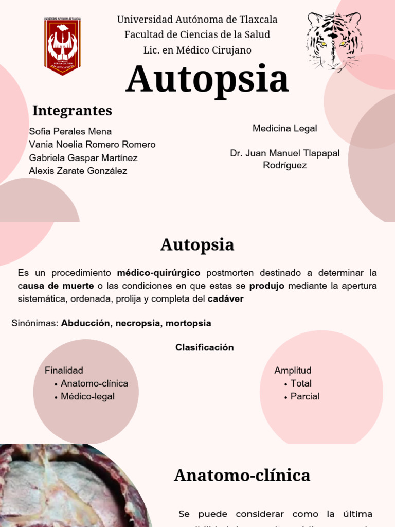 Autopsia | PDF | Abdomen | Tórax