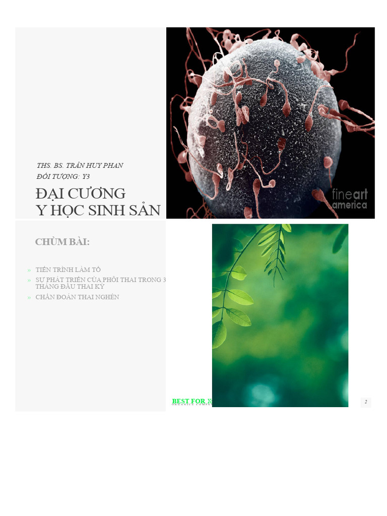 Yhss Y3 | PDF