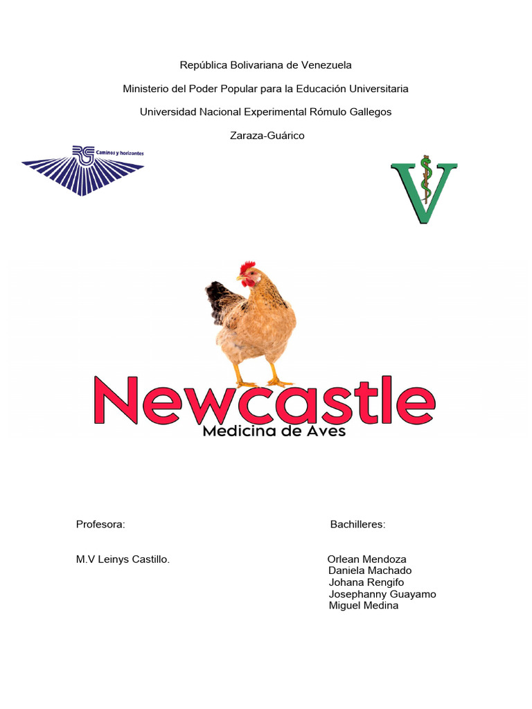 Aves Newcastle | PDF | Virus | Aves