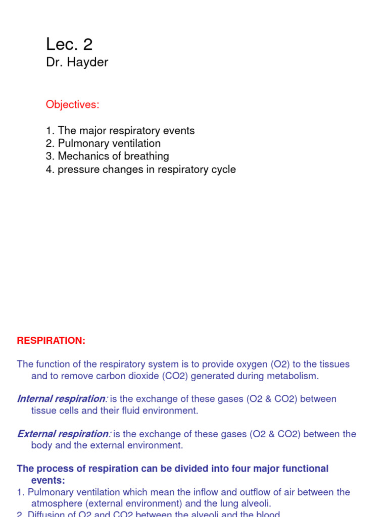 Physio. Lec.2 Pulmonary Ventilation | PDF | Respiratory System | Breathing