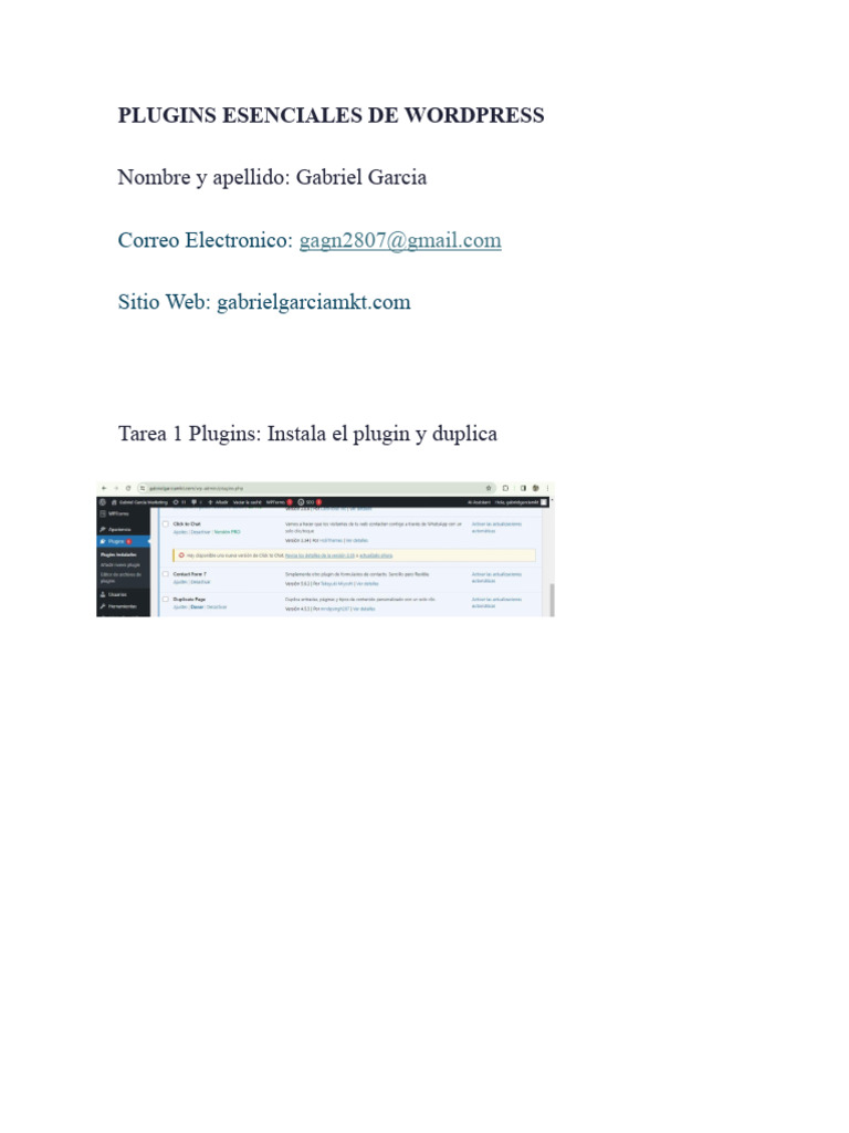 Plugins Esenciales de Wordpress | PDF | Crecimiento personal y profesional | Informática