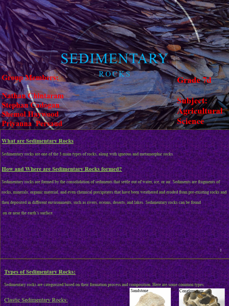 Sedimentary Rocks (1) | PDF | Sedimentary Rock | Rock (Geology)