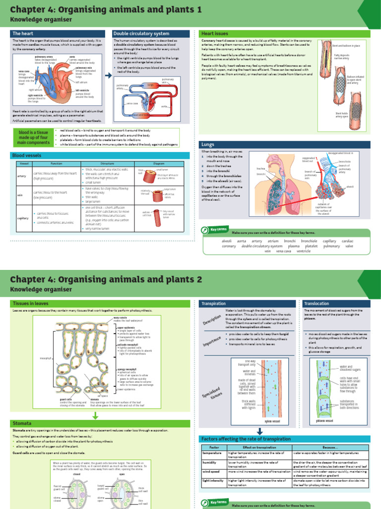 Organising Animals and Plants | Download Free PDF | Heart | Artery