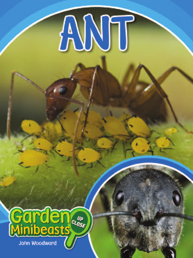 Ant (Garden Minibeasts Up Close) (John Woodward) (Z-Library) | PDF ...