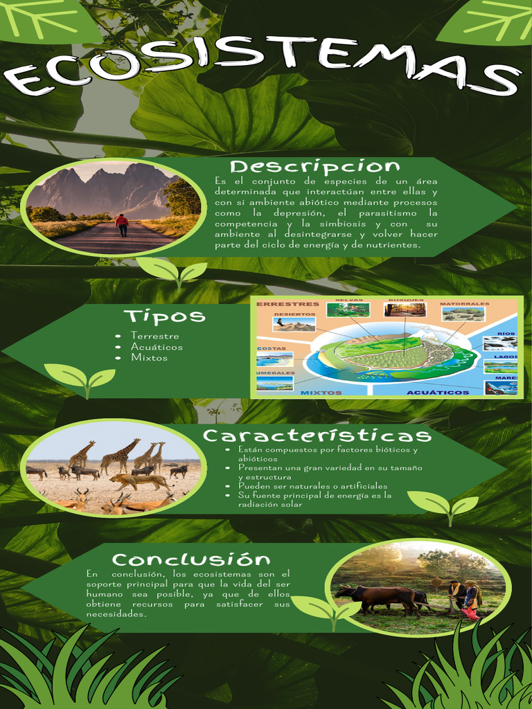 Infografía de Los Ecosistemas | PDF