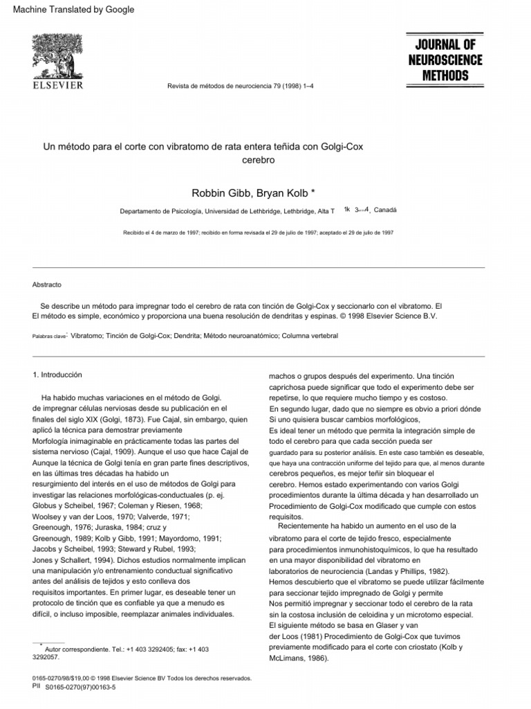 Golgi Cox Staining | PDF | Corteza cerebral | Tinción