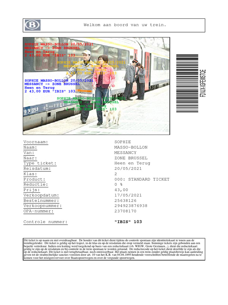 STANDARD_TICKET_SOPHIE_MASSO-BOLLON_1 | PDF