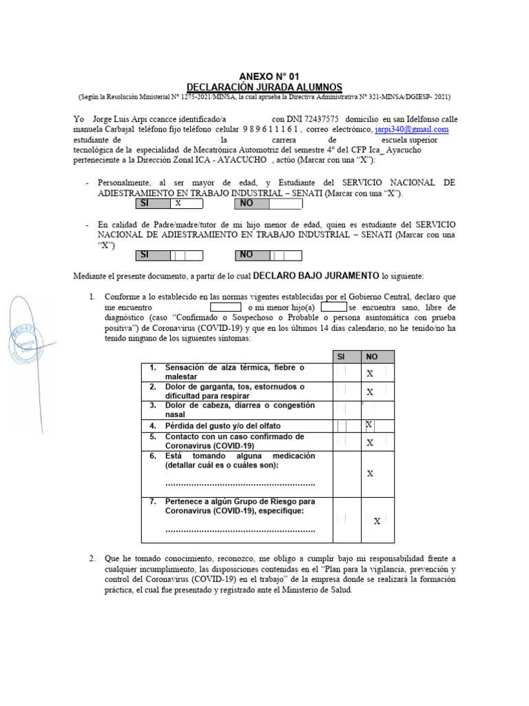 2 anexo 01 DDJJ Alumnos Julio 2022 18 07 22 2 PDF Enfermedades