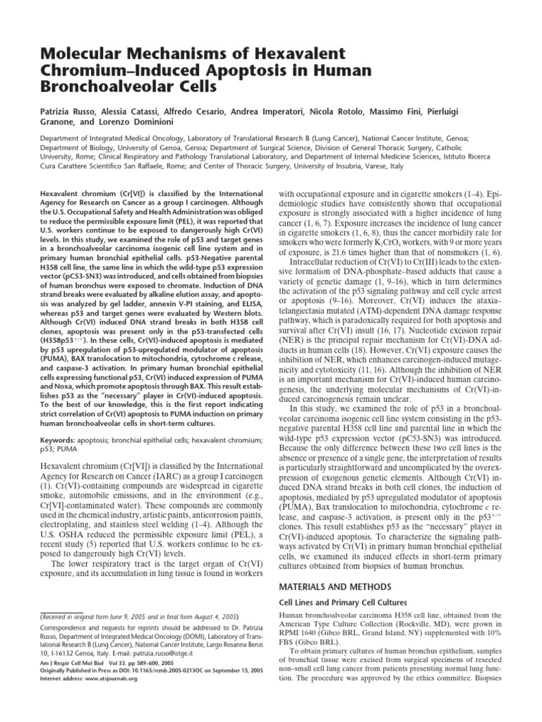 Molecular Mechanisms of Hexavalent | PDF | Apoptosis | P53