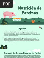Anatomía Del Aparato Digestivo Del Cerdo | PDF | Sistema digestivo ...