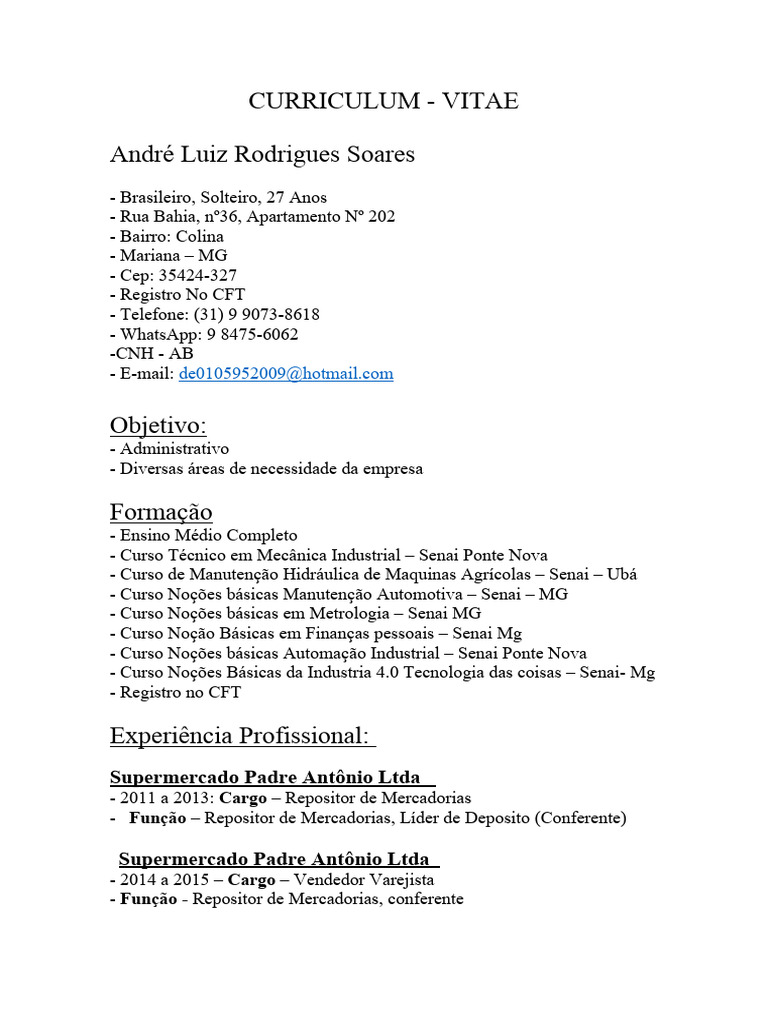 Curriculum Andre Mariana | PDF