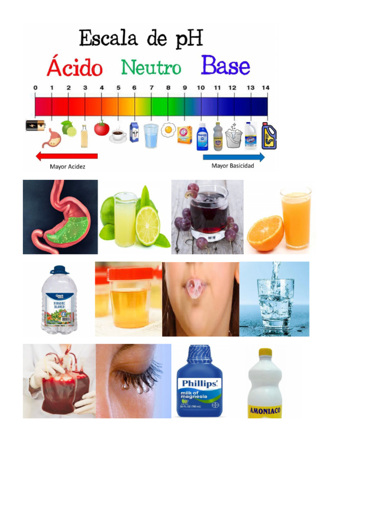 Imagenes Acidos | PDF