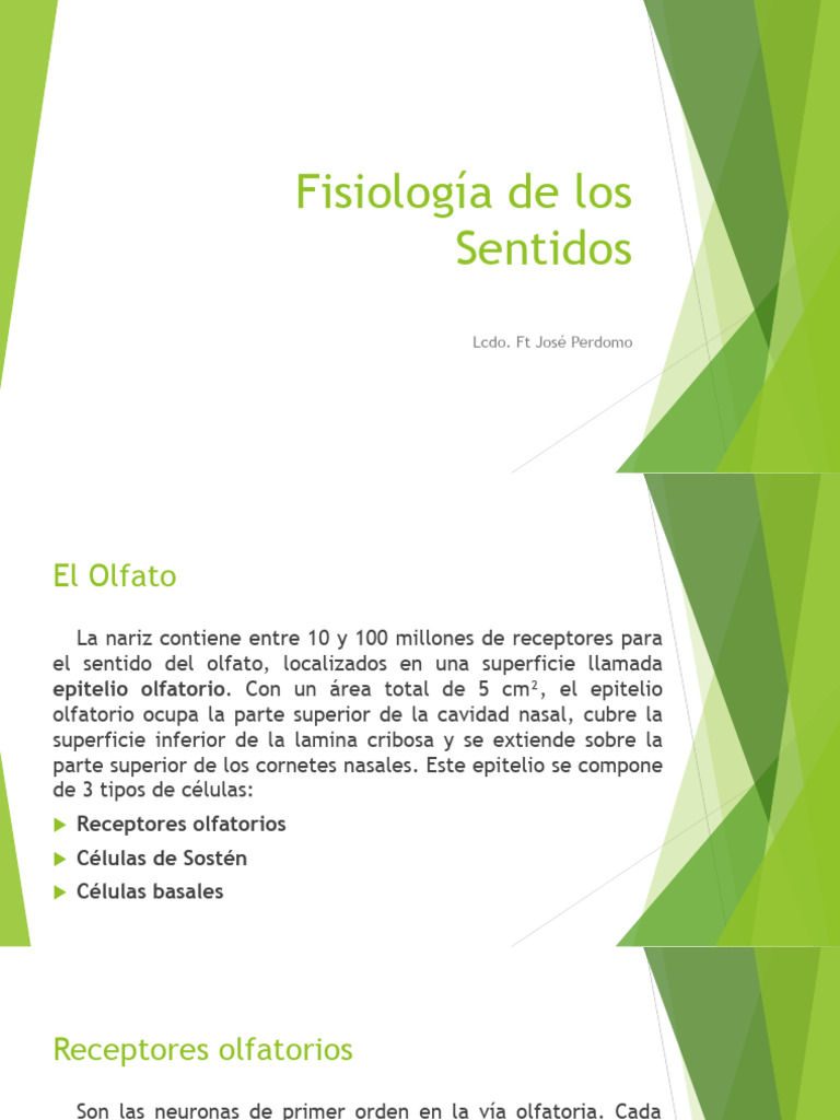 2 Fisiología de Los Sentidos | PDF | Gusto | Oído