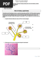 SCORE de GLEASON - Pathology Outlines | PDF | Neoplasms | Medical ...