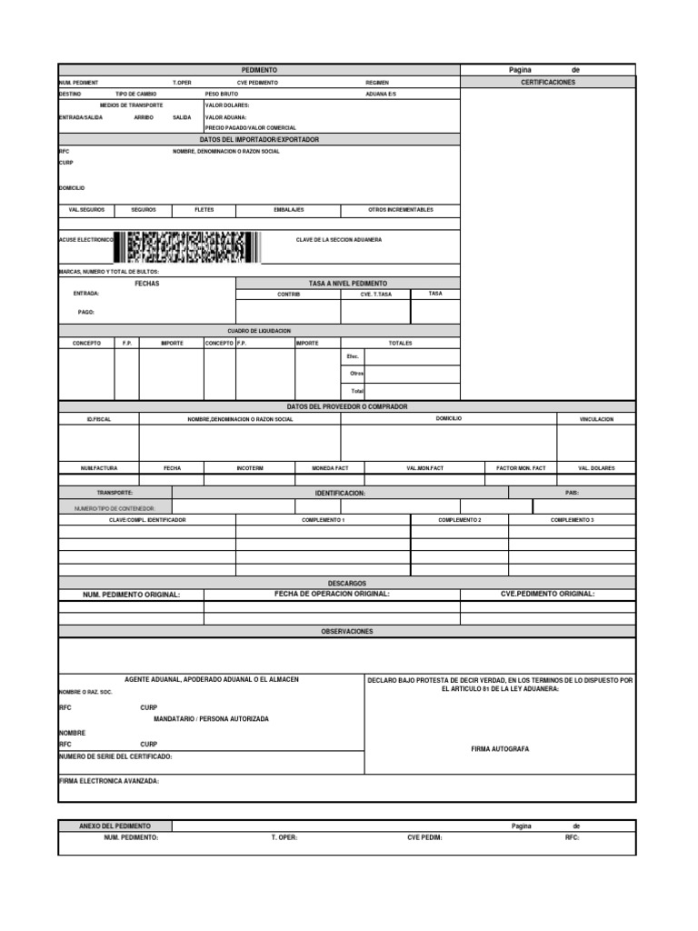 Pedimento en Blanco Formato 1 | PDF | El comercio internacional | Business