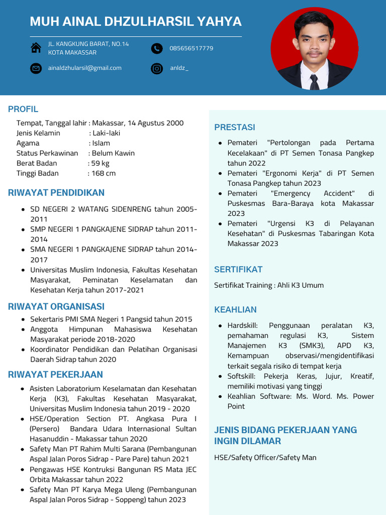 Blue Light Blue Color Blocks Physician CV | PDF