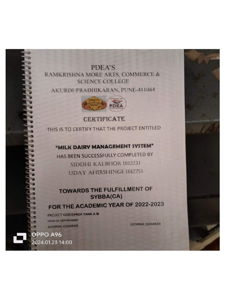 Example of Project | PDF