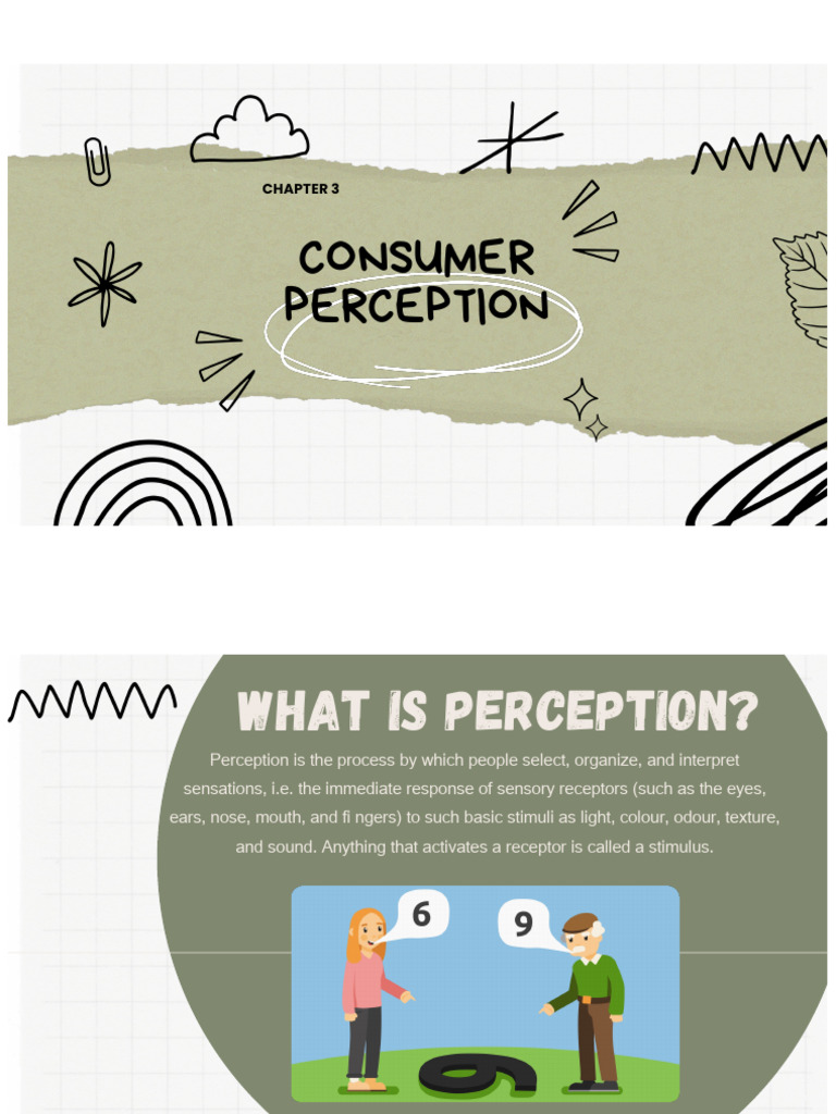 Week 5 Consumer Perception | PDF | Perception | Attention