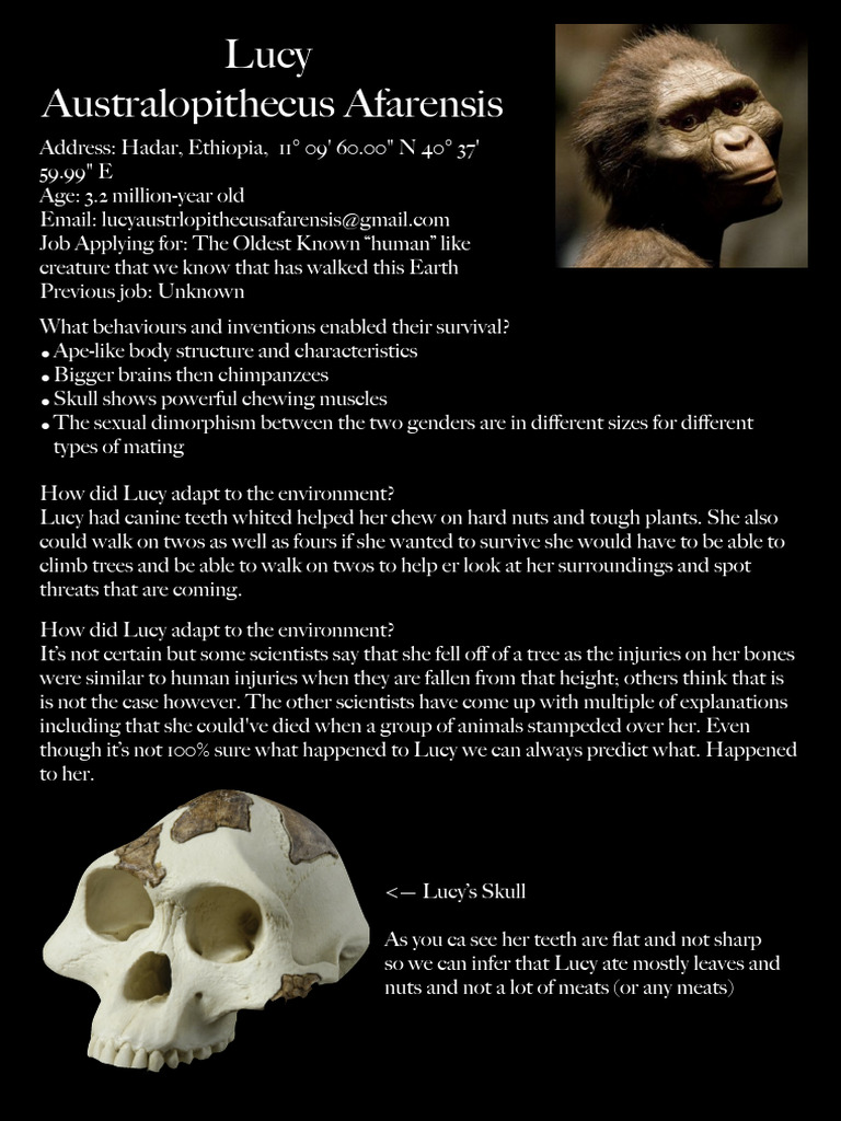 Lucy | Download Free PDF | Lucy (Australopithecus) | Zoology