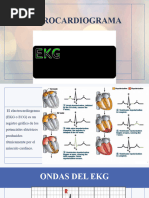 Ekg (Ondas, Intervalos, Segmentos y Derivaciones) | PDF ...