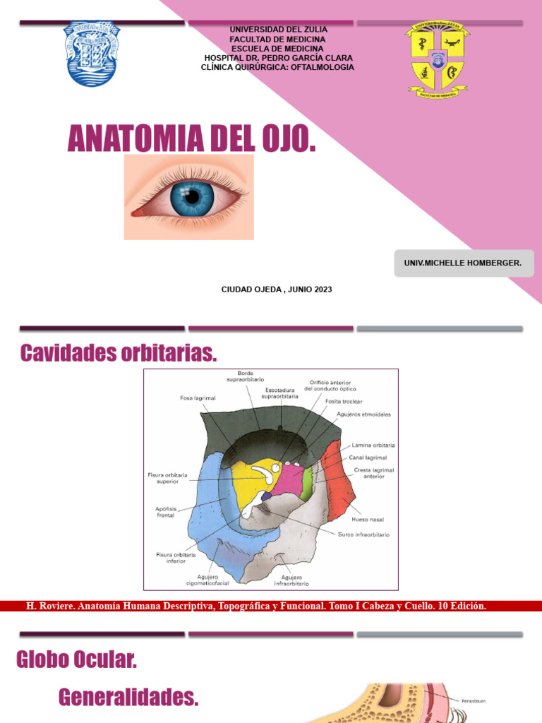 Anatomia Del Ojo Listo | PDF | Ojo humano | Ojo