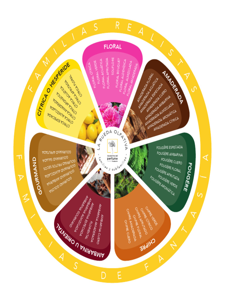 La Rueda Olfativa Del Perfume | PDF
