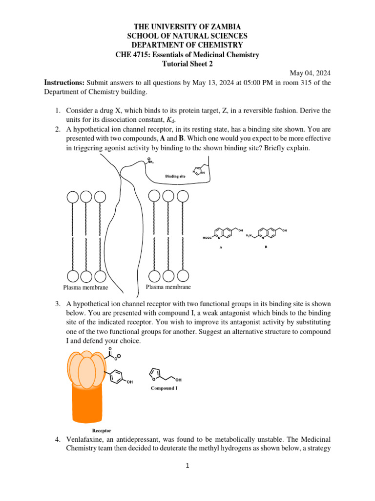 CHE 4715 Tutorial Sheet 2-1 | PDF | Translation (Biology) | Rna