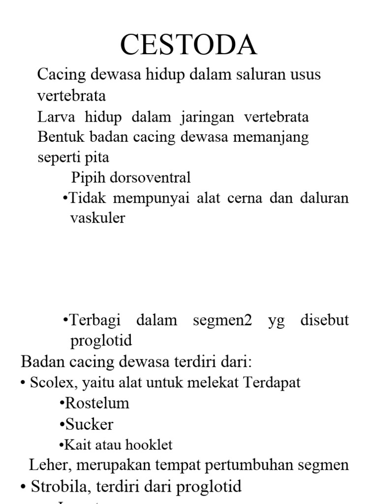 Cestoda Word | PDF | Sains & Matematika