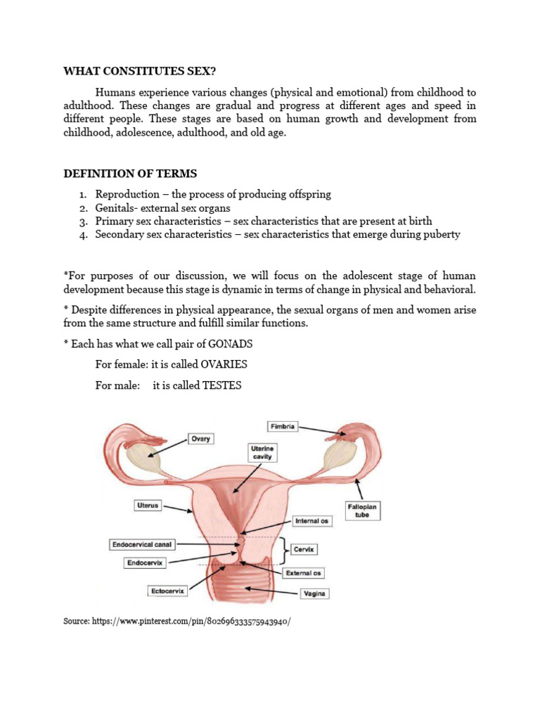 What Constitutes Sex Pdf Uterus Reproductive System 
