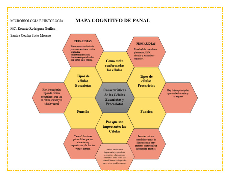 MICROBIOLOGIA E HISTOLOGIA MAPA COGNITIVO DE PANAL | Descargar gratis ...