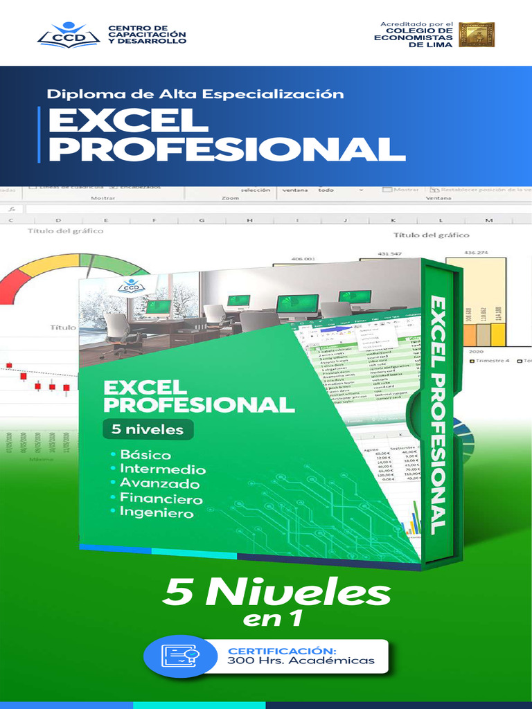Excel Profesional | PDF | Microsoft Excel | Bases de datos