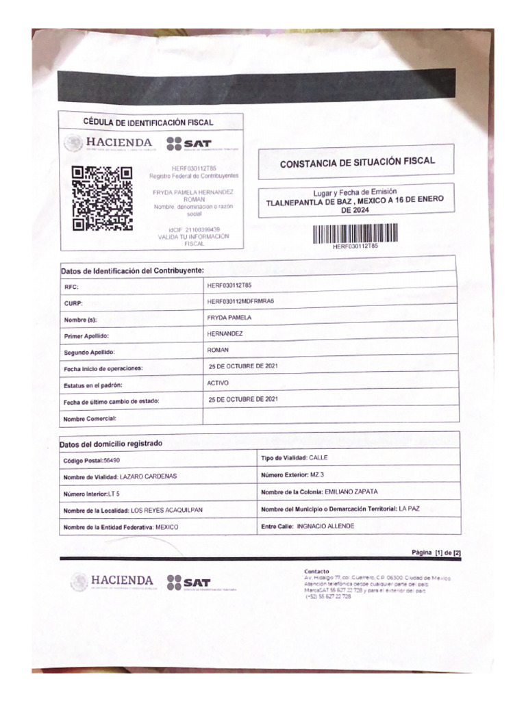 Cédula de Identificación Fiscal | PDF