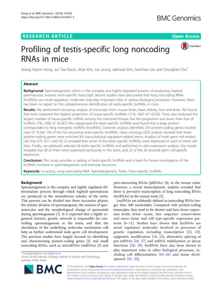 Profiling of Testis-Specific Long Noncoding RNAs in Mice | PDF | Dna ...