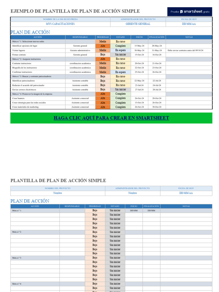 IC Simple Action Plan Example 8595 - ES | PDF