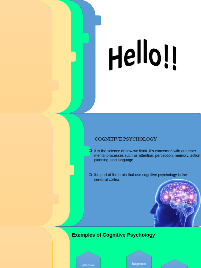 Fine | PDF | Cognitive Psychology | Cognition
