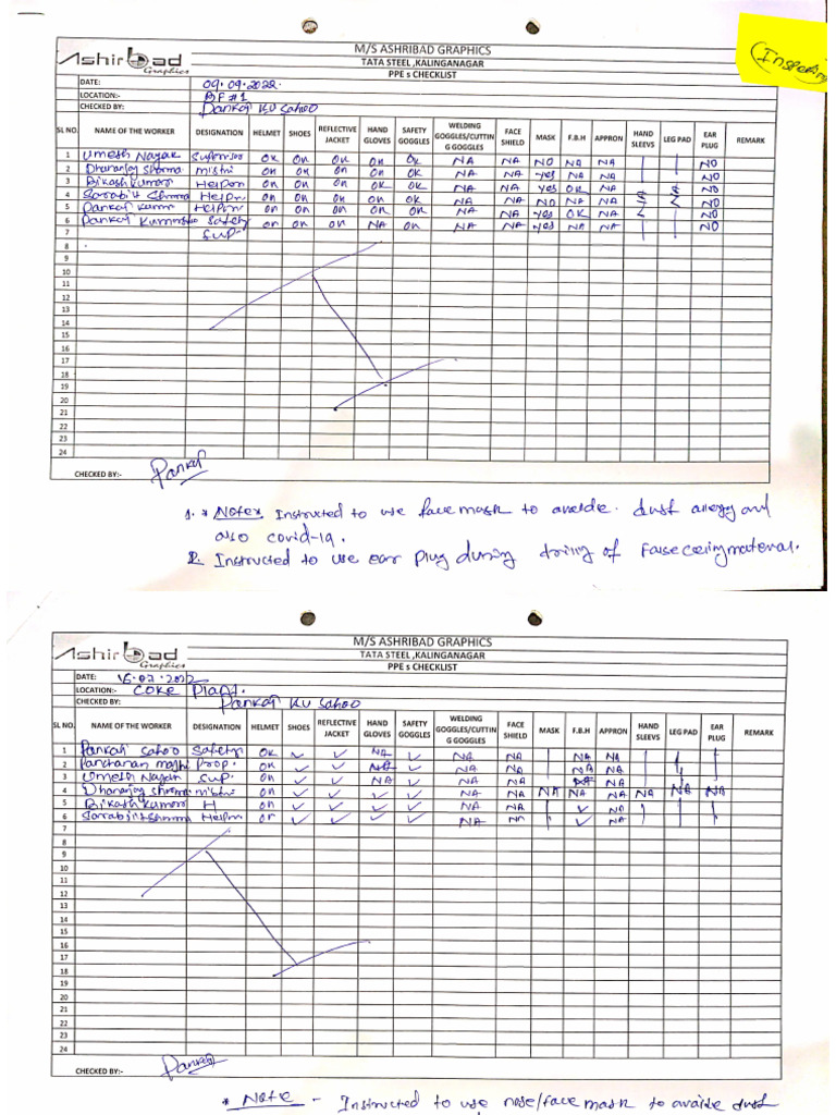 17-PPE Inspection Record | PDF