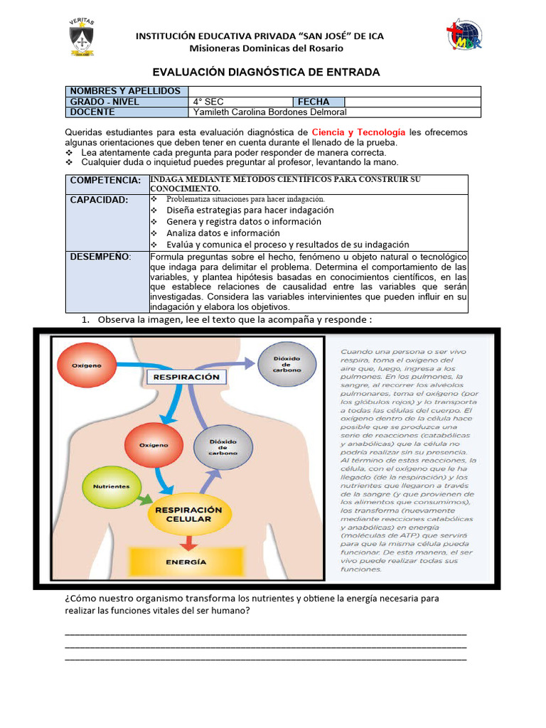 Evaluaciòn Diagnostica de Entrada 4sec | PDF | Evolución | Evaluación