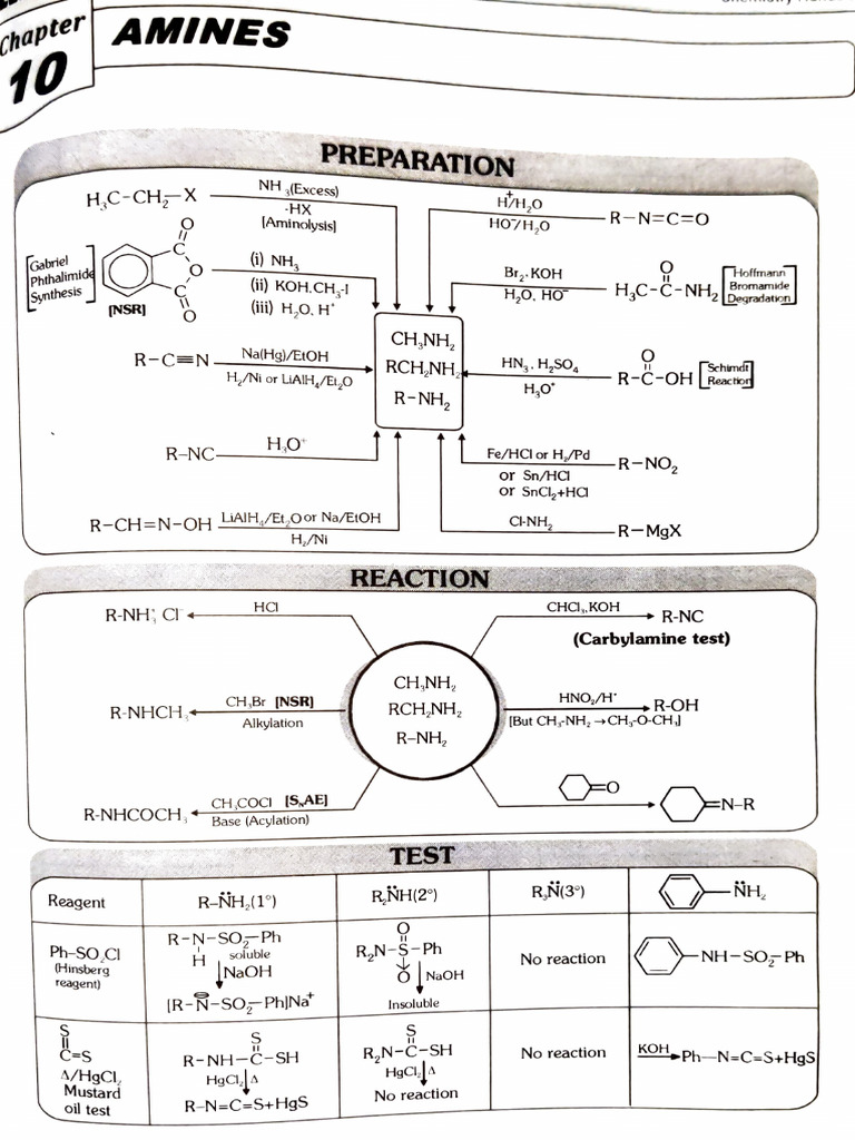 Amines Allen Handbook | PDF | Chemical Reactions | Amine