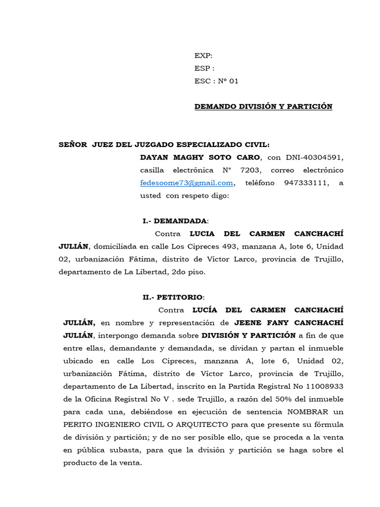 Division y Particion | PDF | Ley procesal | Demanda judicial