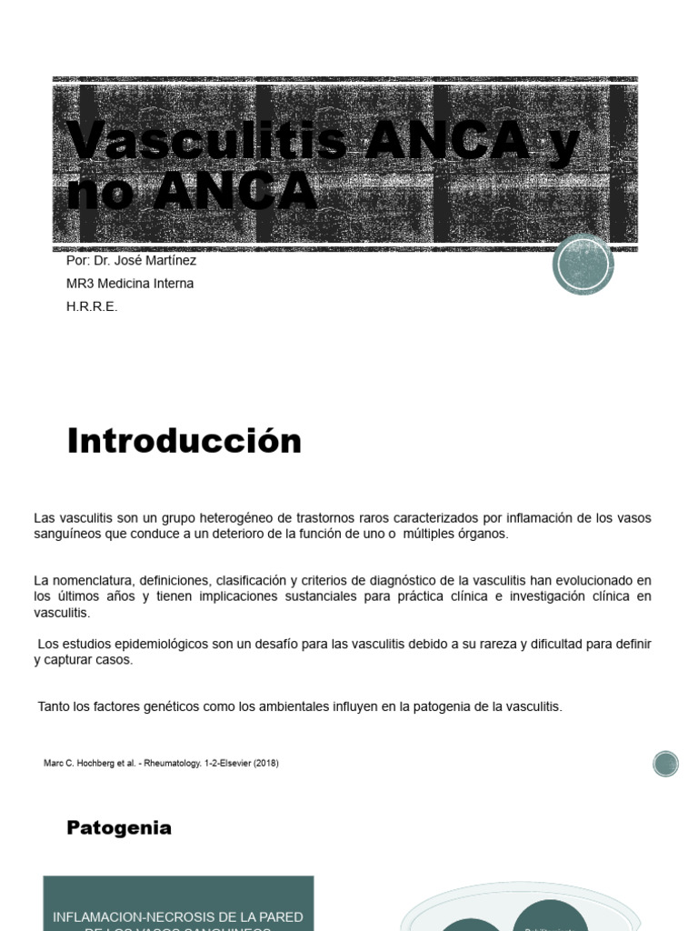 Vasculitis ANCA y No ANCA | PDF | Inmunología | Especialidades Medicas