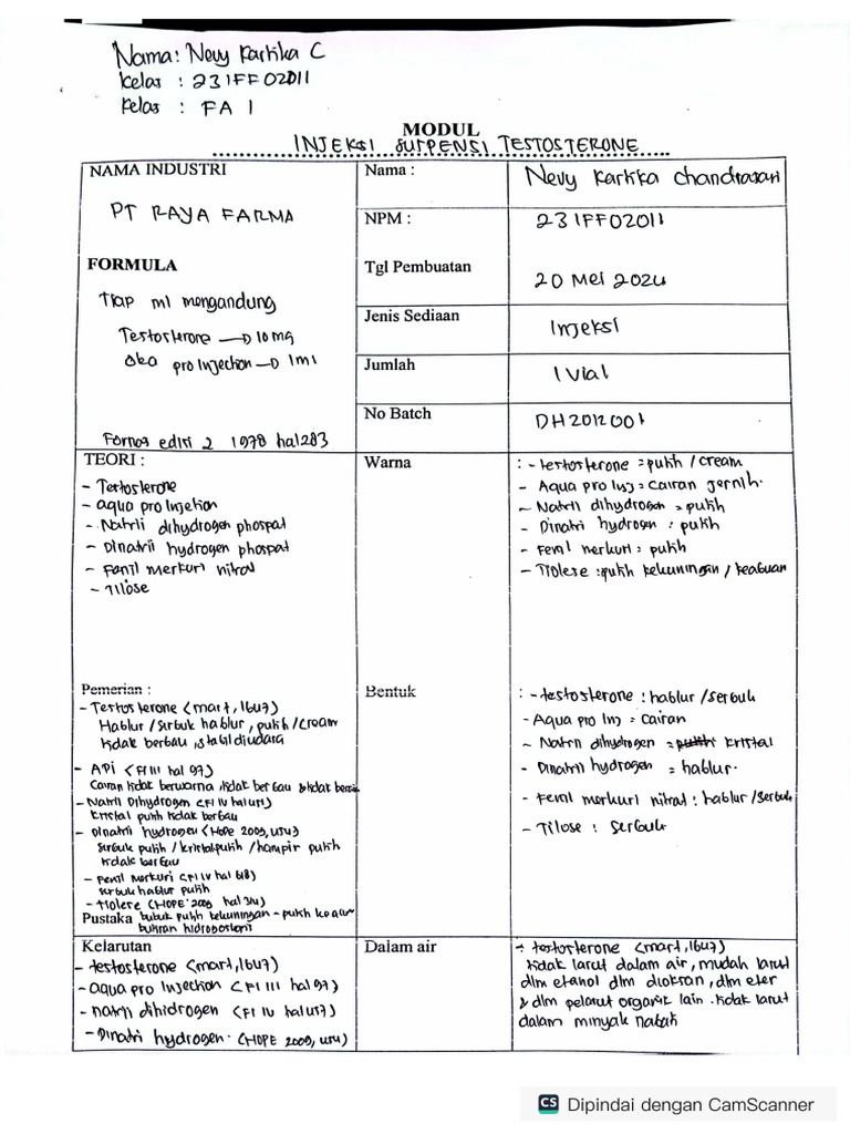 Injeksi Testosterone | PDF