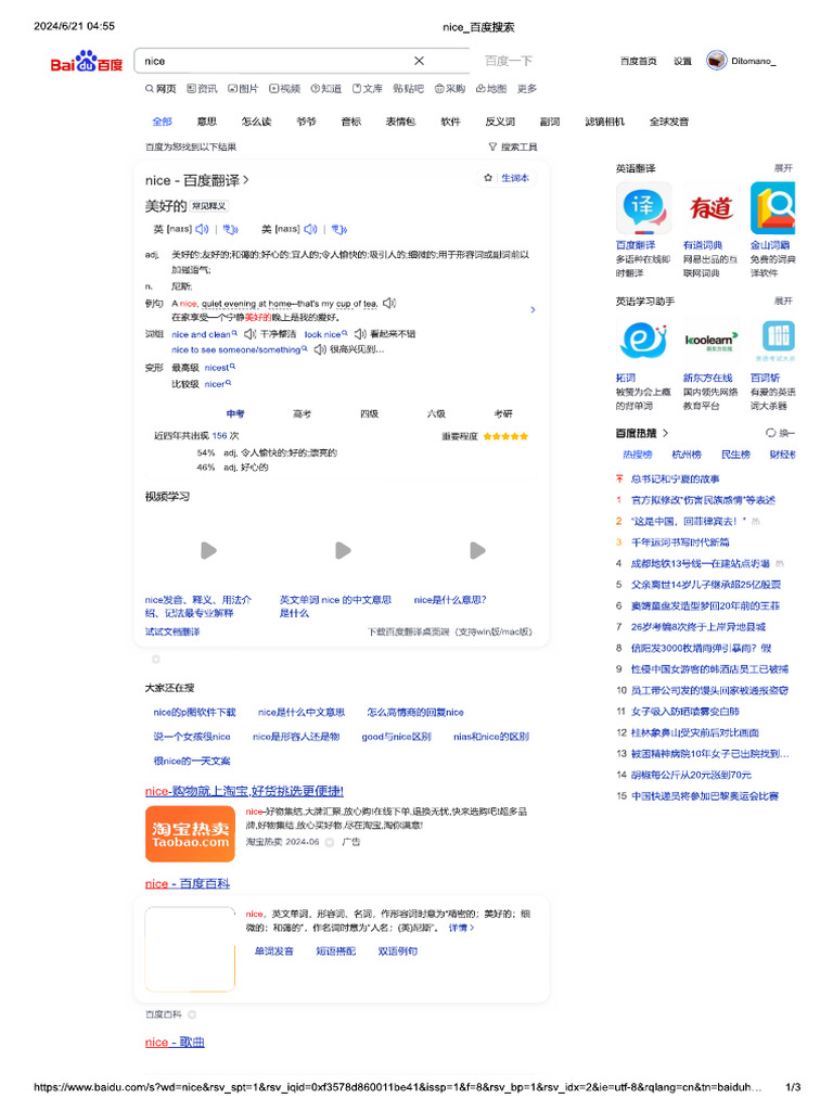 Nice | PDF