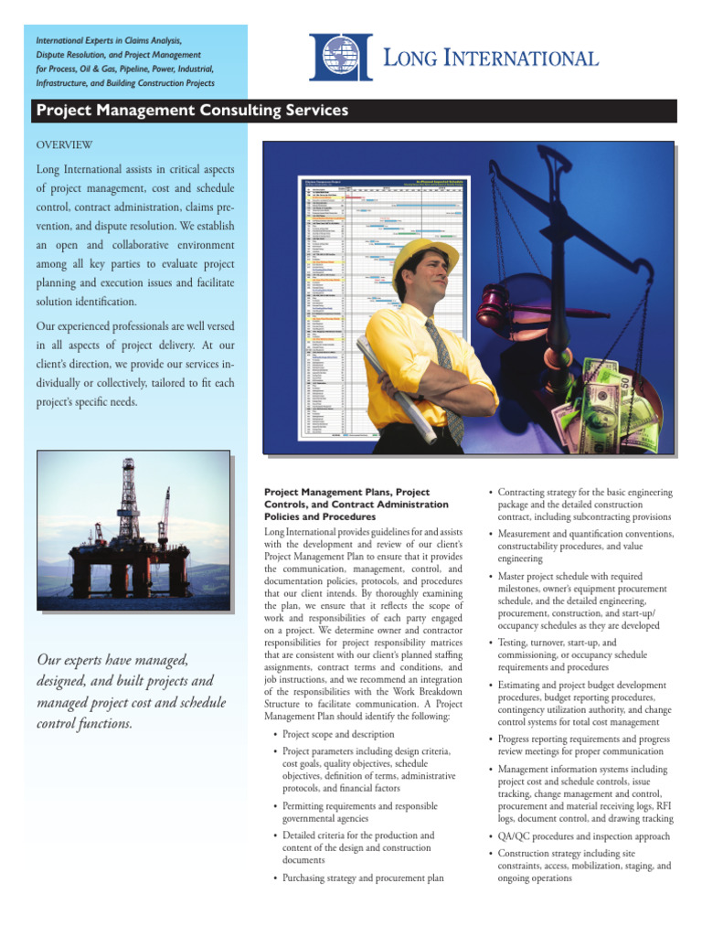 Project Management Consulting Brochure | PDF | Project Management | Consultant