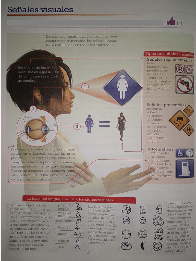 Señales Visuales (Actividad) | PDF