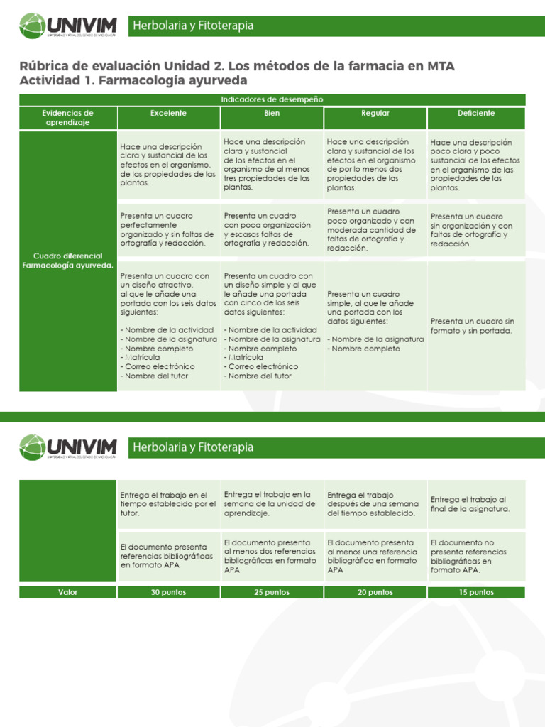 Rubrica de Evaluación - U2 | PDF