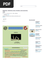 Mutupo - Shona | PDF | Zoology