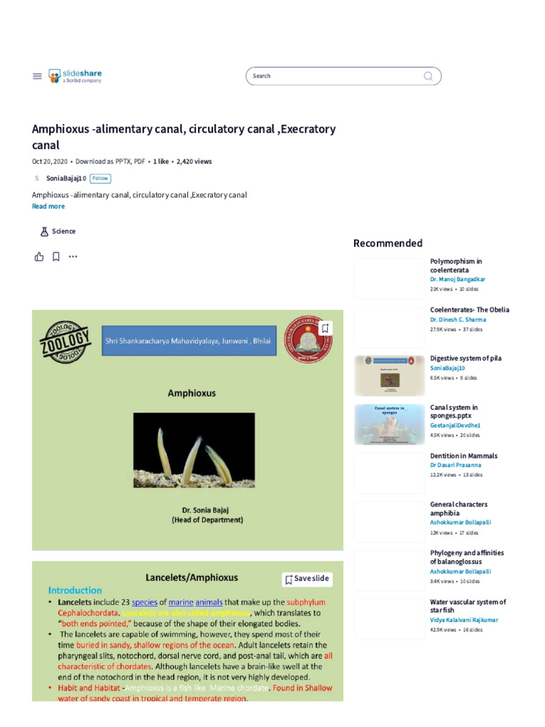 Amphioxus Canal Systems Explained | PDF | Animal Anatomy | Zoology