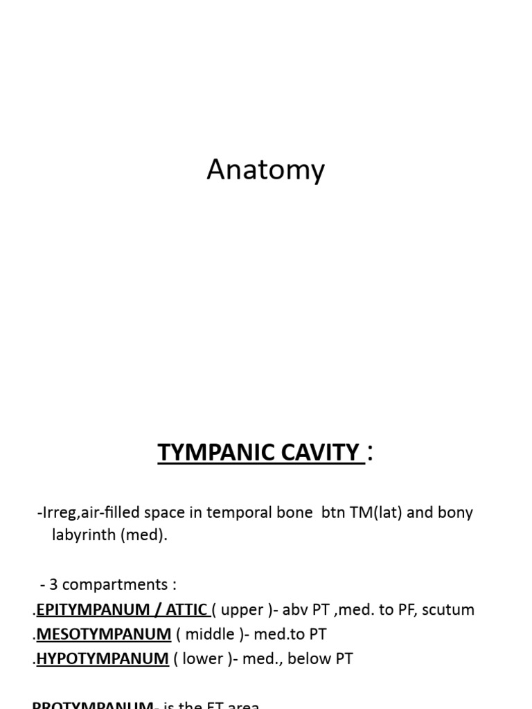 Anatomy of Middle Ear | PDF | Anatomy | Human Head And Neck