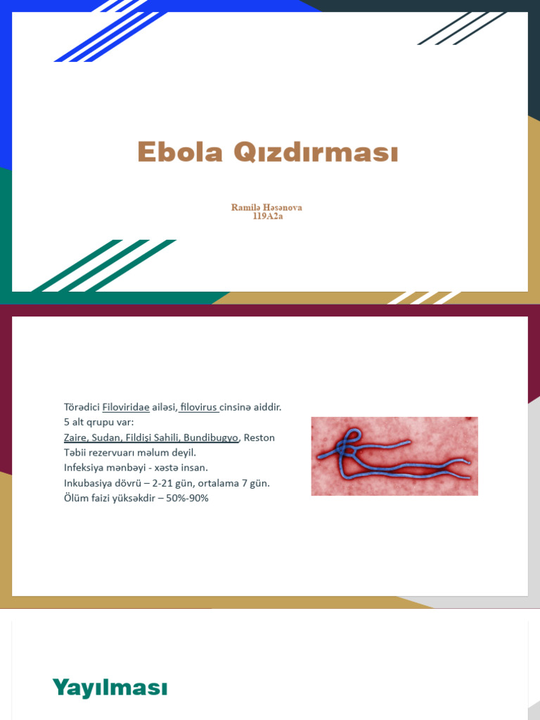 Ebola | PDF