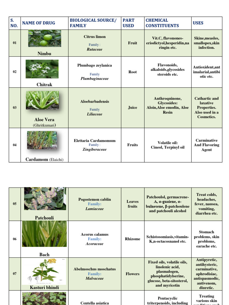 List of Medicine Plants | Download Free PDF | Polyphenol | Coriander